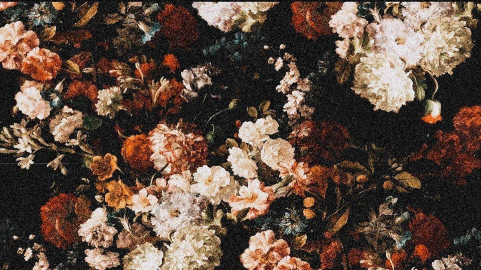 Furuke | AJ Photographer情緒小熊