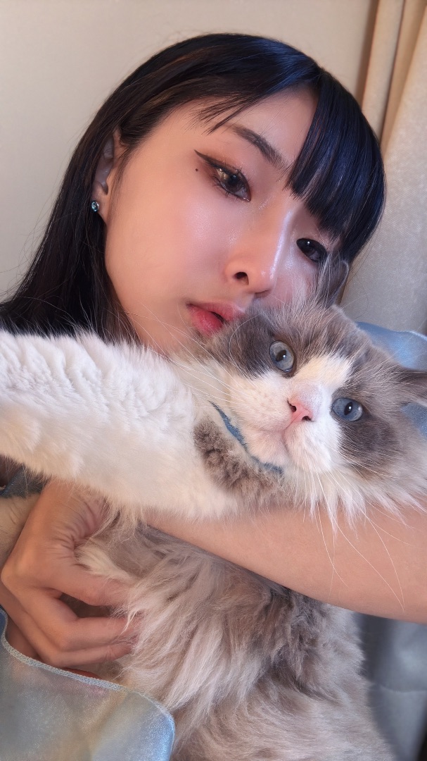 Furuke | 奇怪小日常