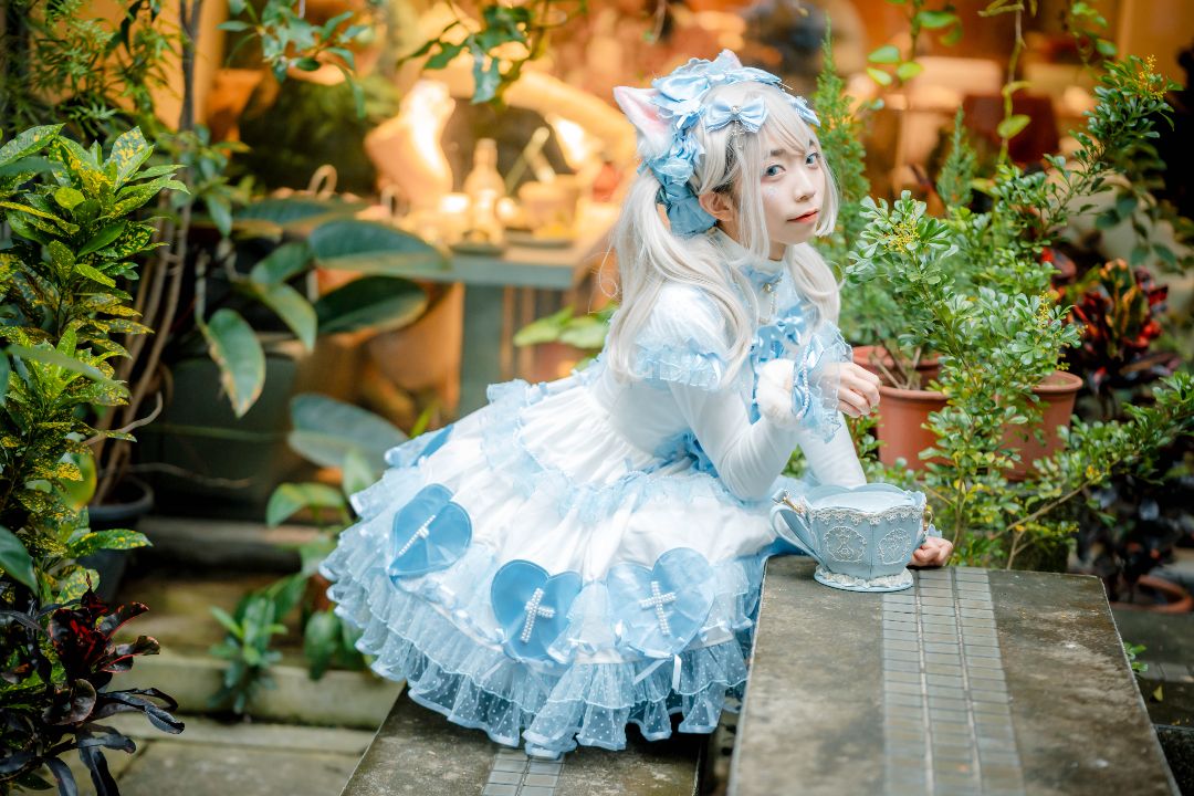 Furuke | 2025/02/22貓之日