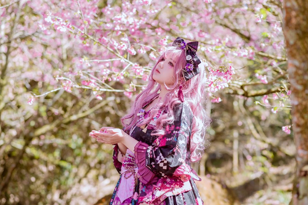 Furuke | lolita系列-櫻花x落櫻貓